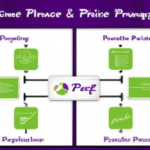 Prince2 Vs Msp: Which Methodology Ensures Successful Program Management ...
